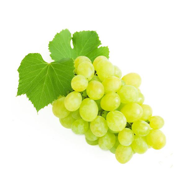 Buy Grapes White Seedless, India - 500gm Online @ AED5.5 from Bayzon