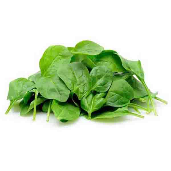 Buy Lettuce Rocca Baby, Europe - 125gm Online @ AED 10.93 from Bayzon