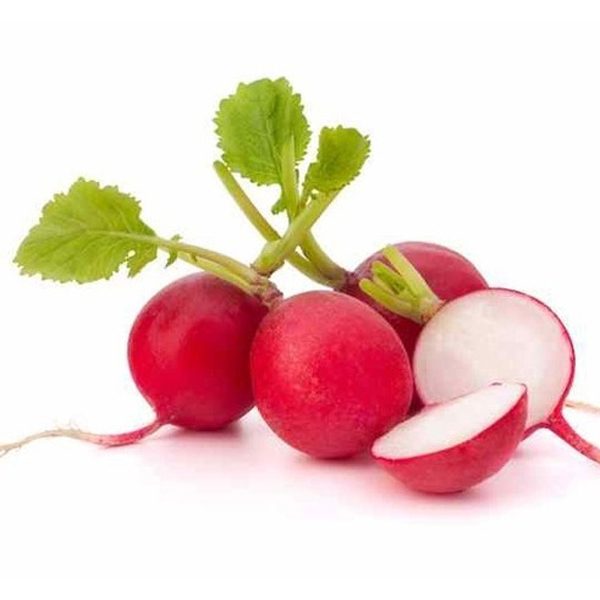 Buy Red Radish Pre-packed, Holland - 125gm Online @ AED3 from Bayzon