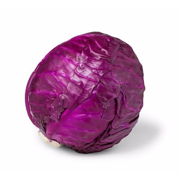 Buy Red Cabbage, Oman - Per Kg Online @ AED4.5 from Bayzon