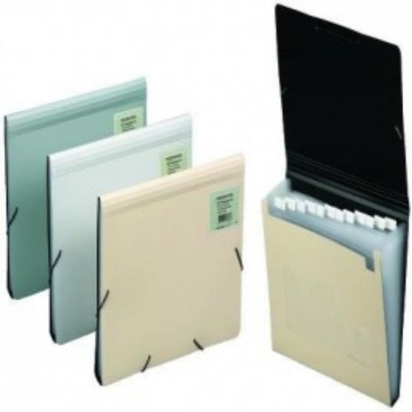 Buy Foldermate FE-533-BF A4 Expanding File with Elastic Fastener 13 ...