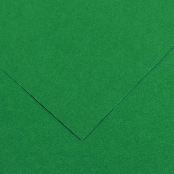 Buy Canson Colorline Grainy Paper - Moss Green (pkt/25s) Online ...